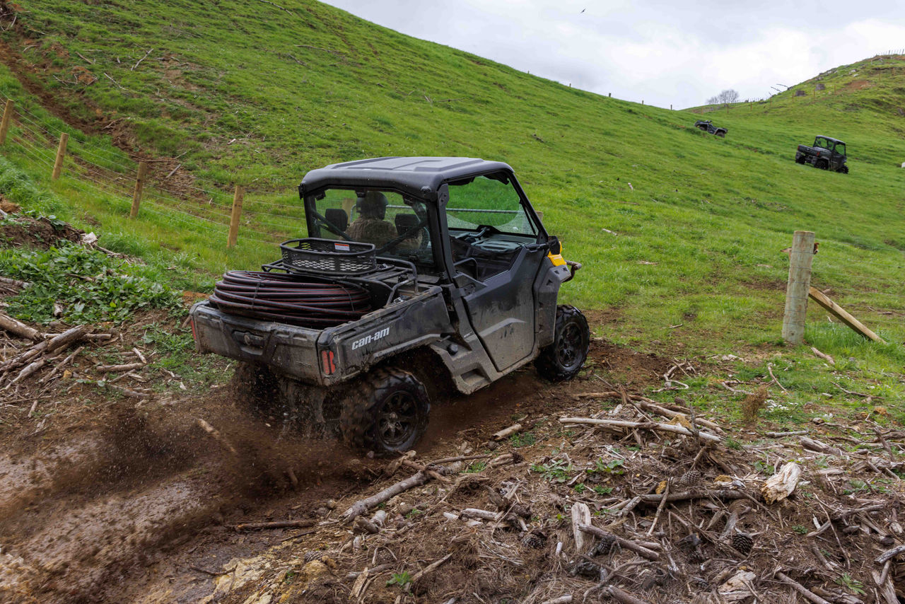 Lewis Marine | TORQUE